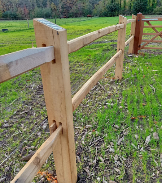 Customized “Nobel-line” fencing – stylish & secure